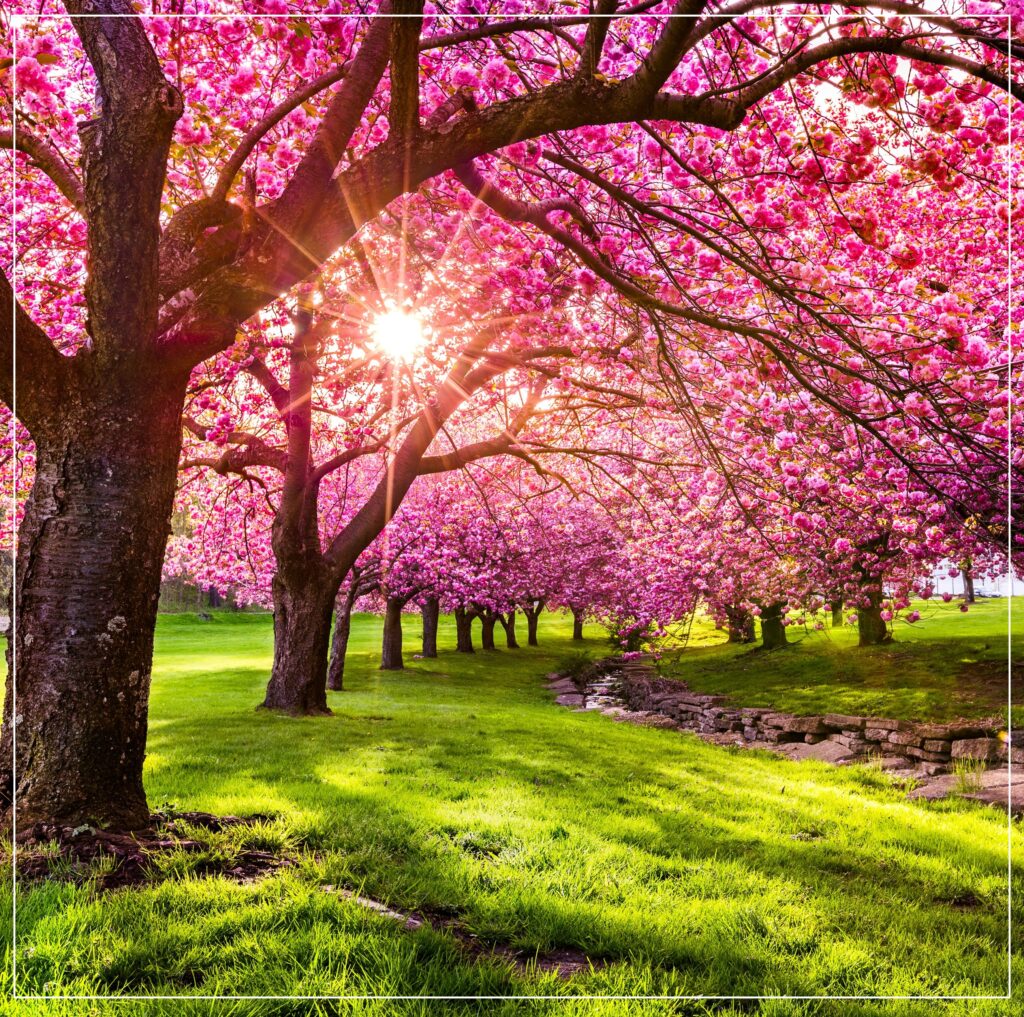 Becoming Whole The Center for Connection, Healing and Change - CCHC
